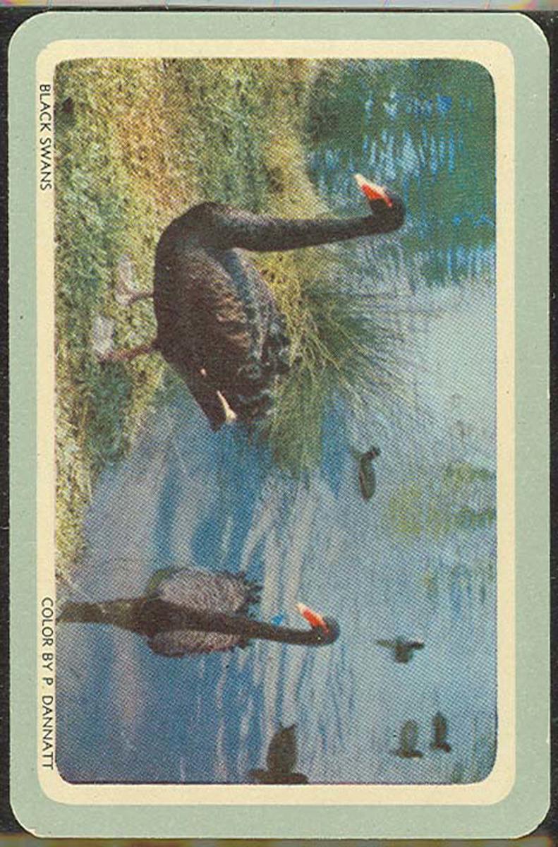 1956 Woolworths (Woolworths) 1956 Olympic Games Black Swans Trade Card ...
